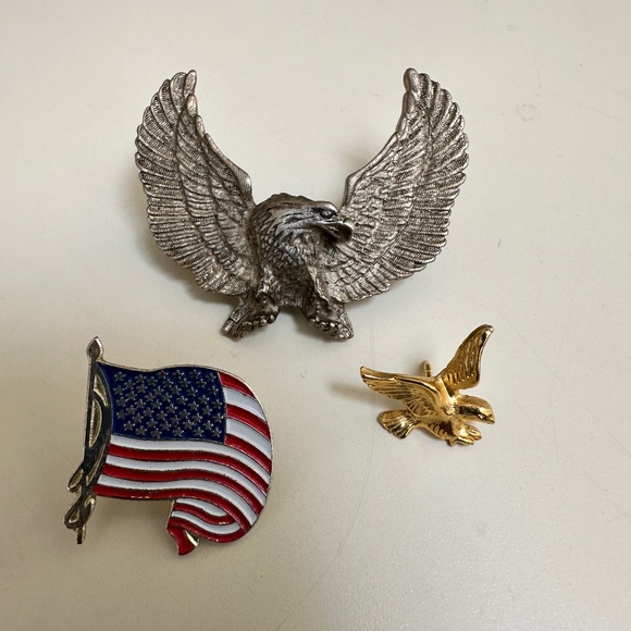 None | Accessories | Usa Pins Large Eagle Small Eagle American Flag ...